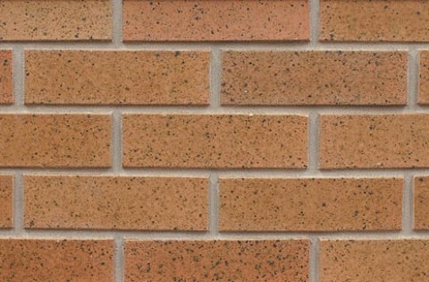 Brick Archives - Thompson Building Materials