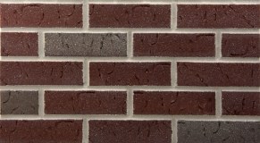 Endicott Brick Archives - Thompson Building Materials